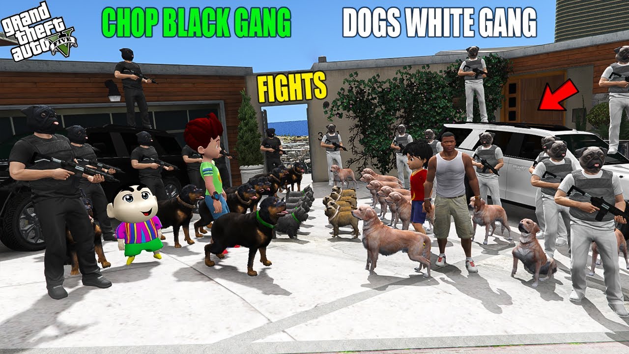 GTA 5 : Chop Black Gang vs Dogs White Gang Fights with Franklin ...