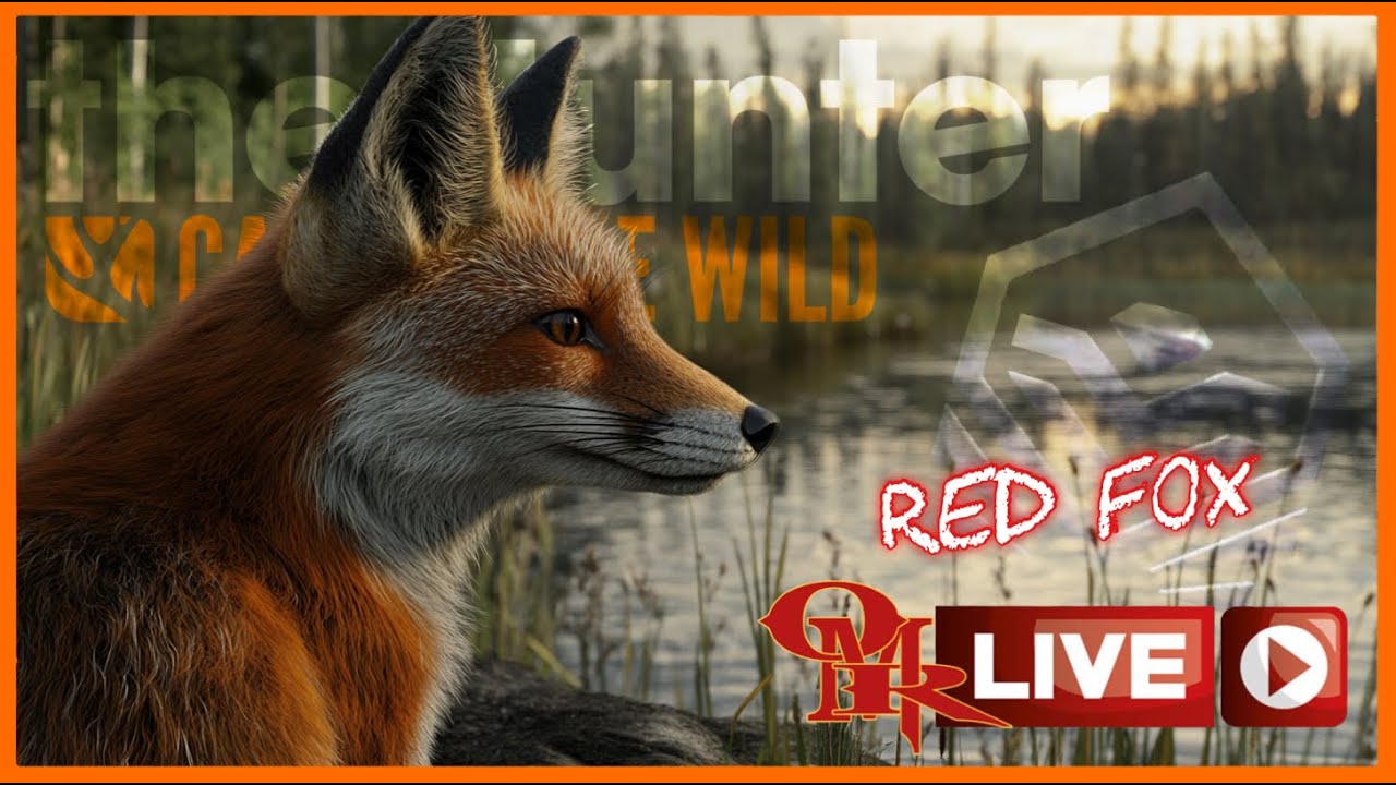 🏮OMR LIVE!🏮 RED FOX! Day One | theHunter Call of the Wild | the Hunter ...
