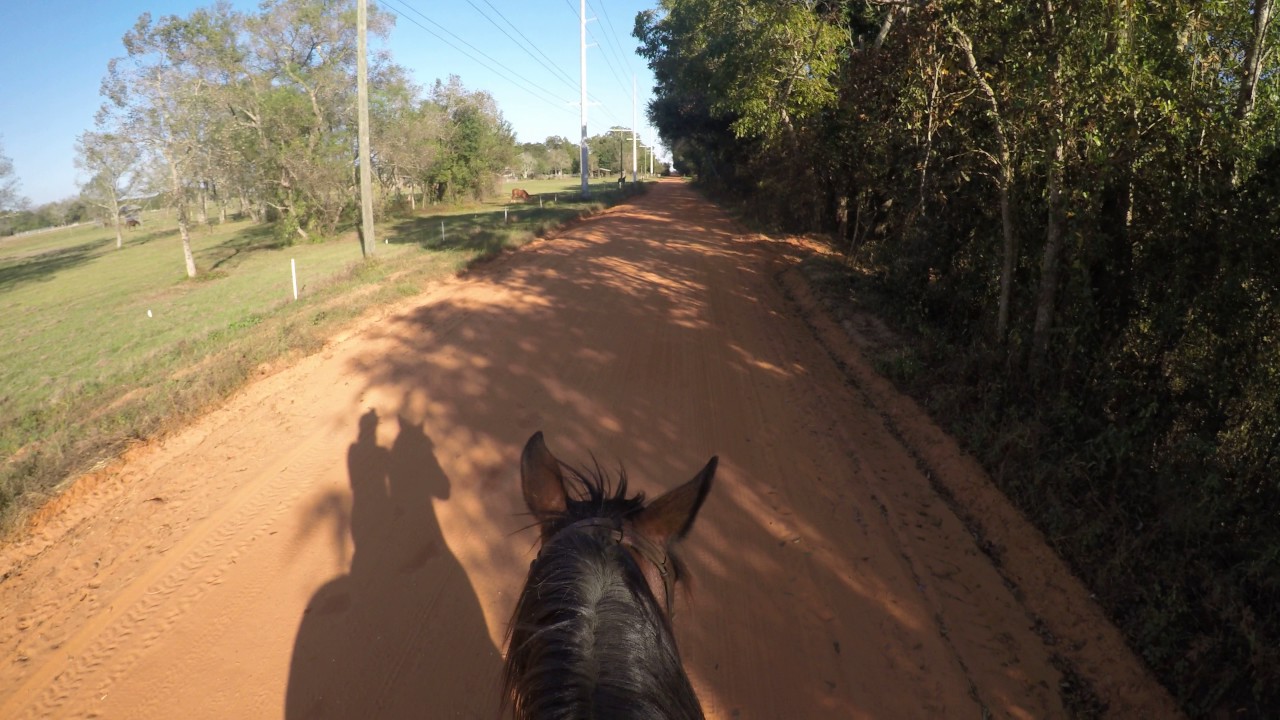 Gunga Din 1 Part 2 - YouTube