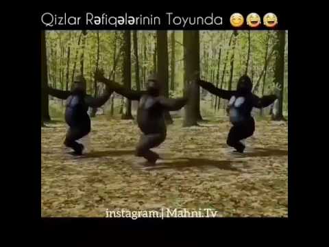 qizlar