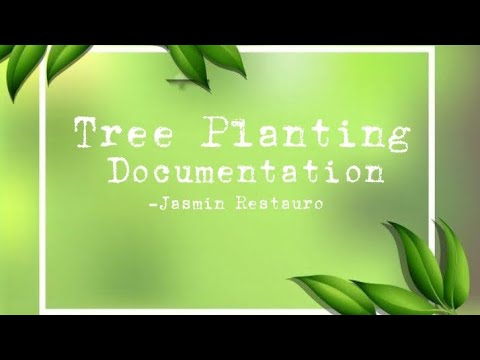 Tree Planting Documentation| 1BSN-A6 - YouTube