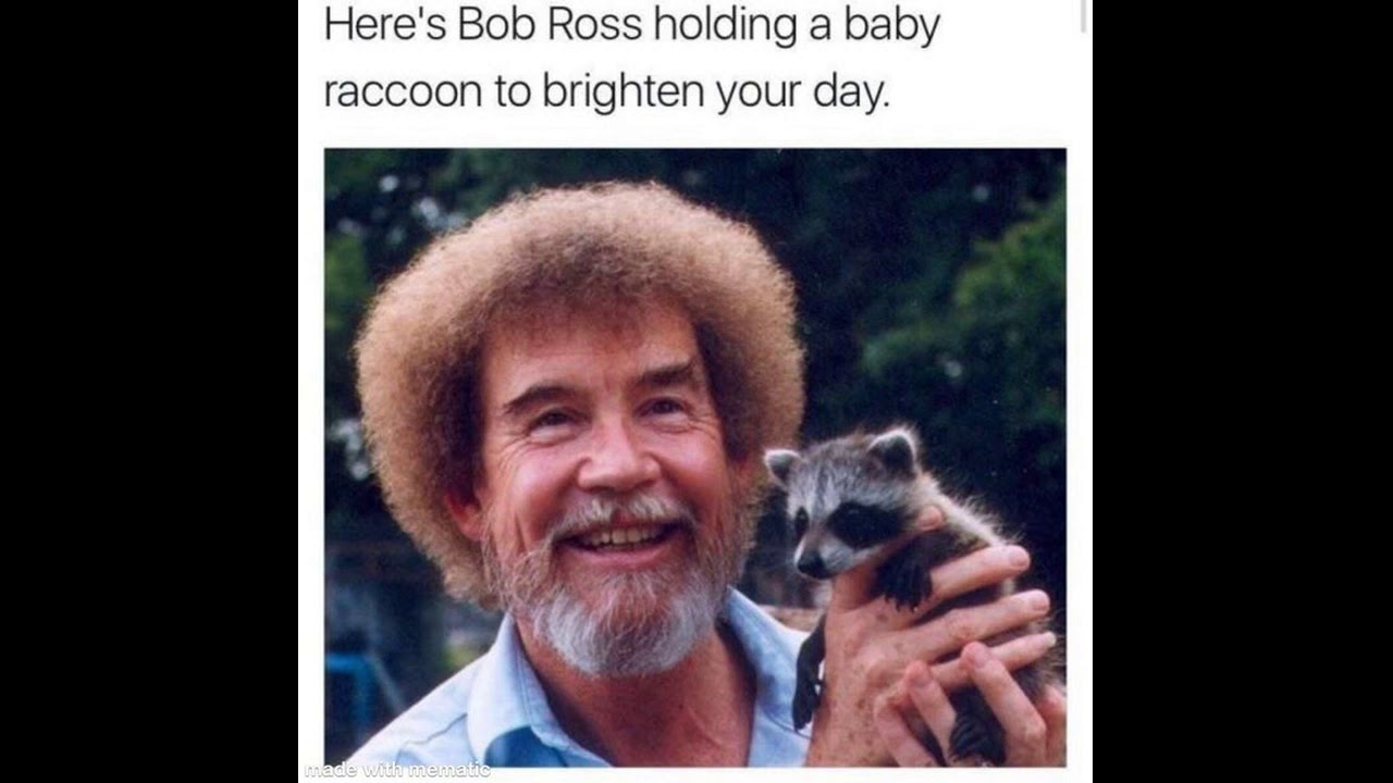 best memes😂 of the week - YouTube