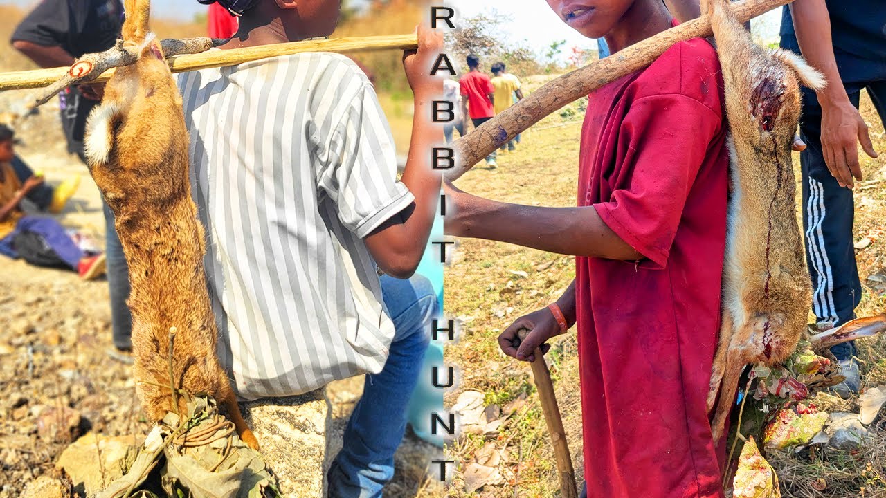 Traditional Rabbit Hunting in the Village | Annual Holi Festival ...
