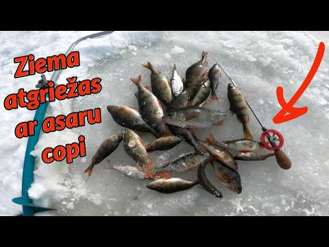Ziema atgriežas! Asaru cope uz bļitku! Jaunumi, kas jāzina ...