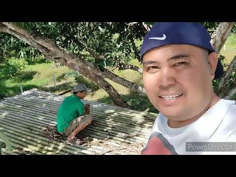 full out my alagang tupa at pabo | parekoy's vlog - YouTube
