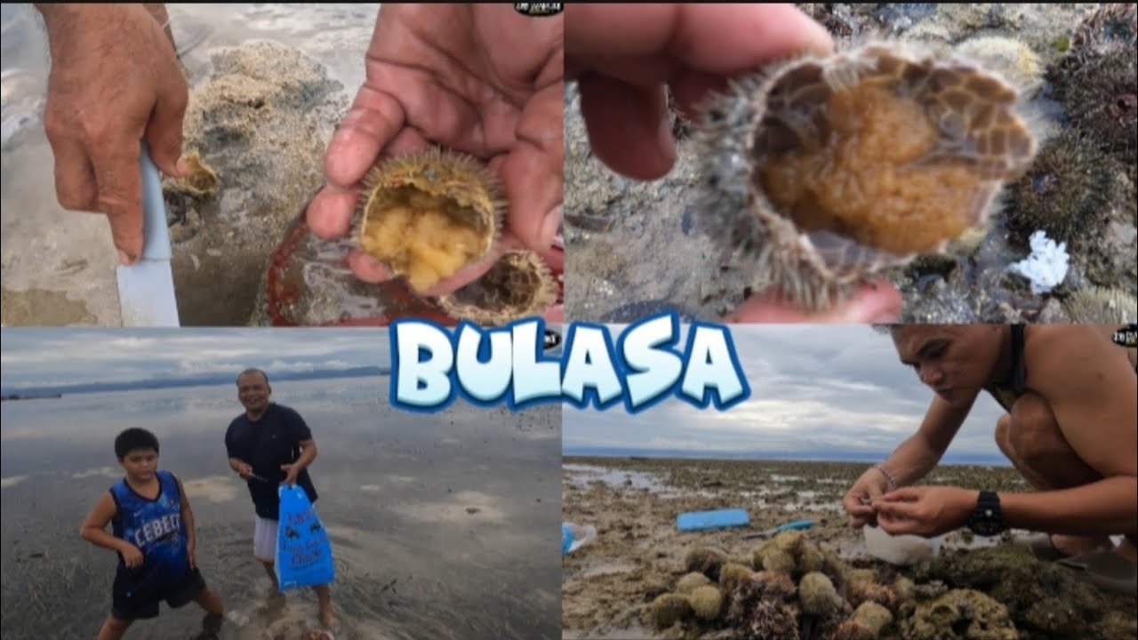 BULASA FOODTRIP|BALABAGON MOALBOAL CEBU - YouTube