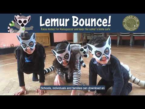 Lemur Bounce with Money for Madagascar - YouTube