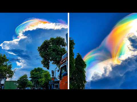 #65 Die besten Videos 2026 || ✪ Stern DuTube