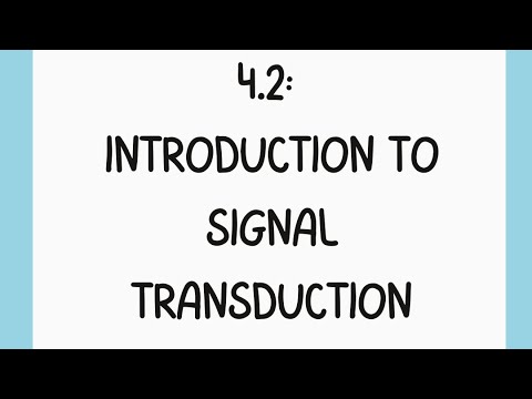 AP Bip Topic 4.2 TikTok: Introduction to Signal Transduction - YouTube