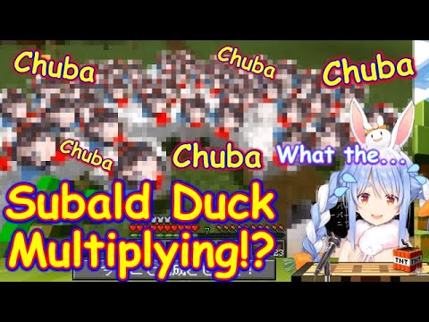 Subald Duck Multiplies. As a result Pekora starts Suba-gyaku. [Hololive ...