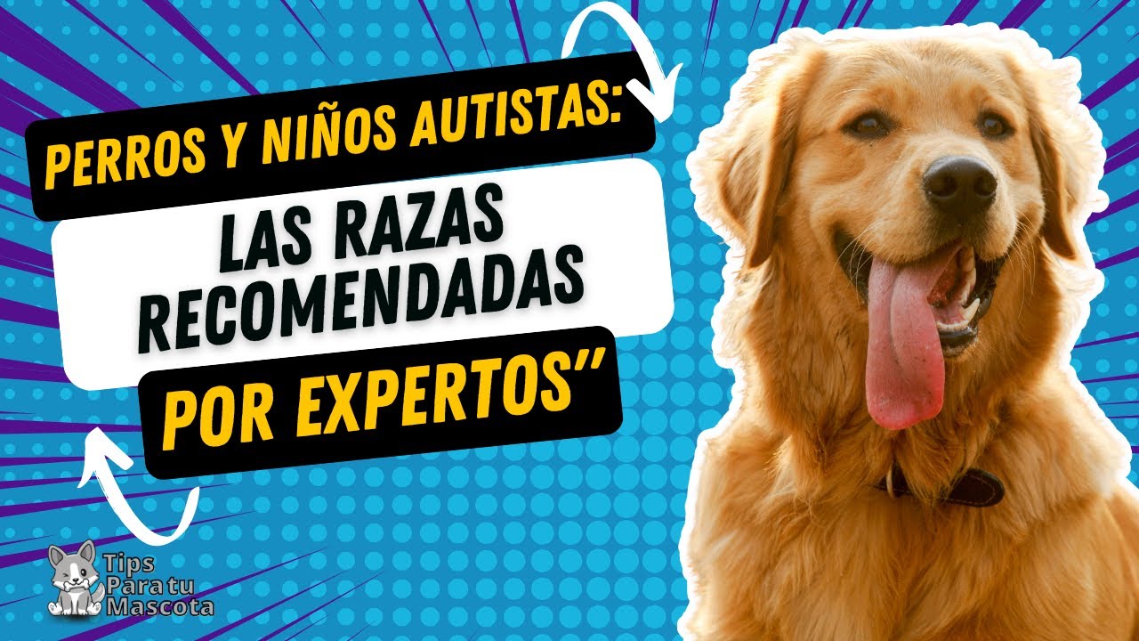 RAZAS DE PERROS RECOMENDADAS PARA NIÑOS AUTISTAS - YouTube