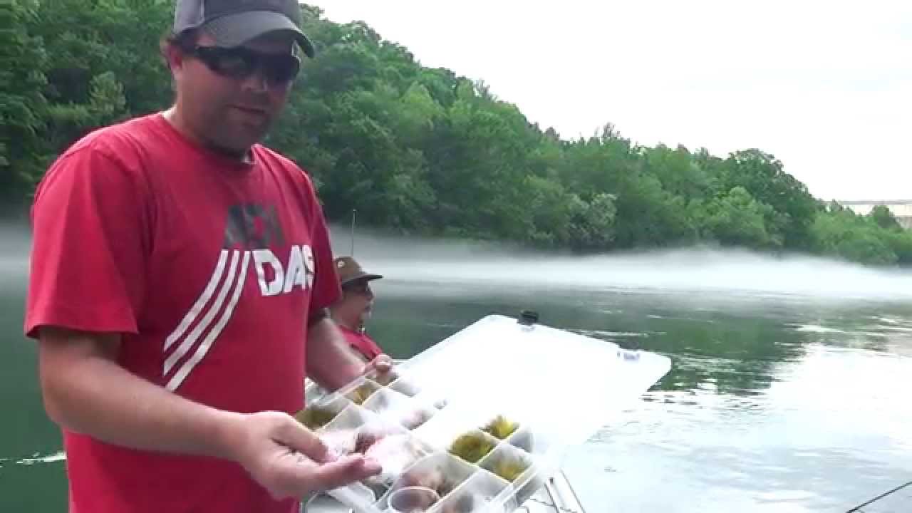 Discussing White River Zig Jigs - YouTube