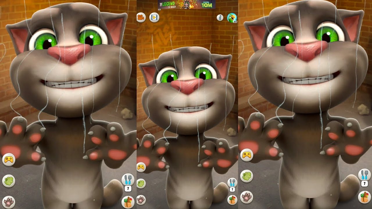 Talking Tom new Funny Viedio Talking Tom Funny Moments @TalkingTom ...