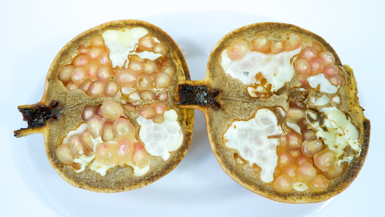 Rotting Pomegranate Time Lapse in 45 Days - YouTube