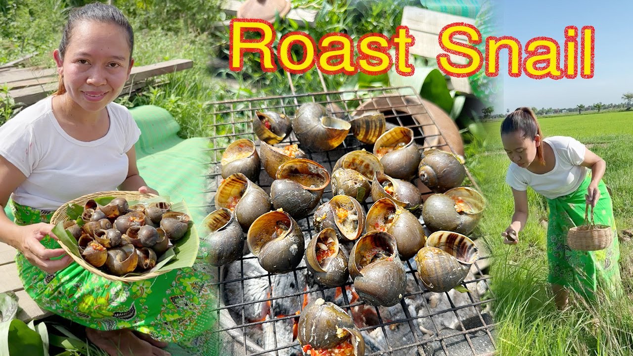 Roast Snail - YouTube