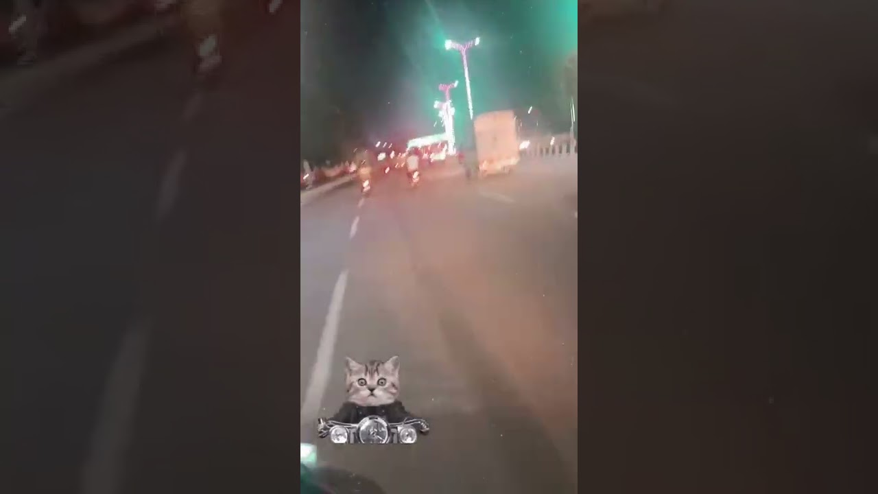 Race Jupiter ZX party On night #party #race @Amit Bhadana - YouTube