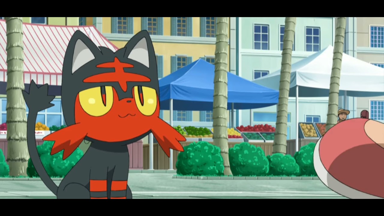 Litten eating fruits - YouTube