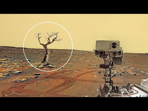NASA Mars Rover Perseverance Sent Most Incredible Footage of Mars' Sol ...
