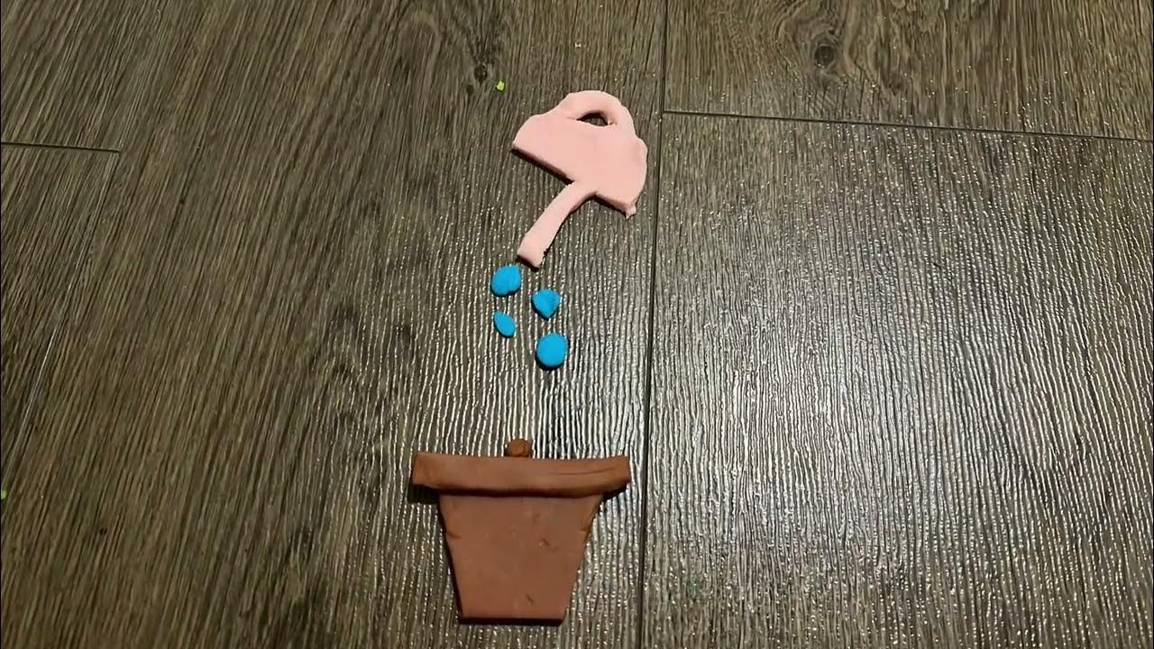 How do flowers grow? - YouTube