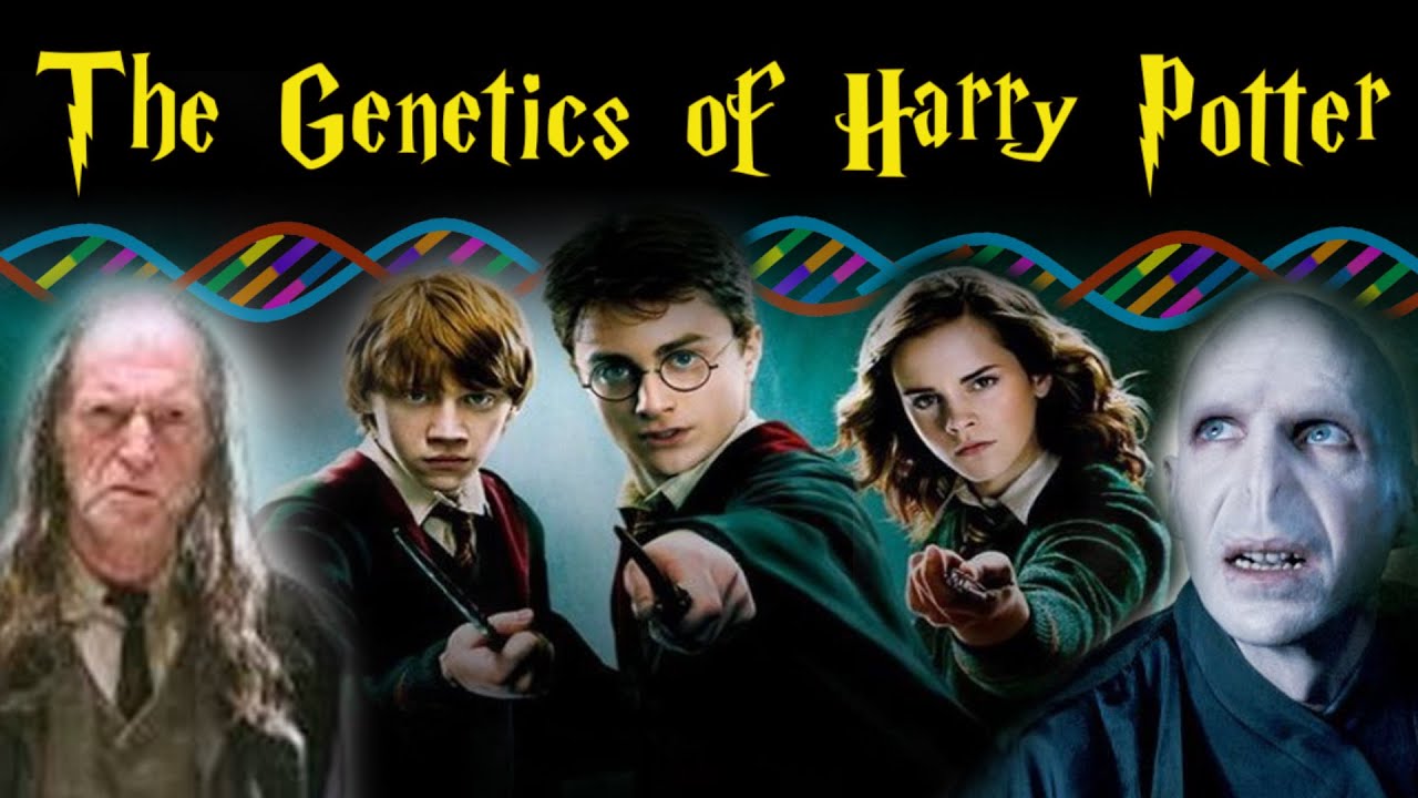 Harry Potter Genetics: Squibs, Mudbloods and Racism - YouTube