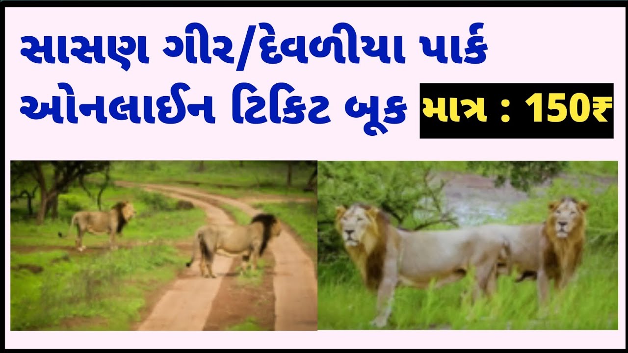 devaliya park sasan gir bus safari । sasan gir national park safari ...