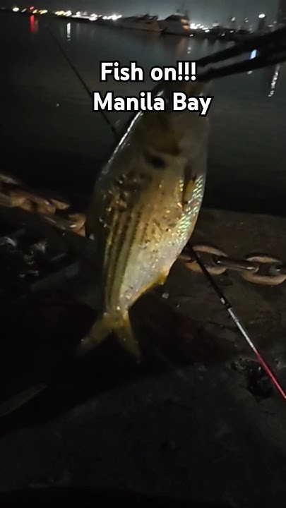 Manila Bay Fishing spot - YouTube