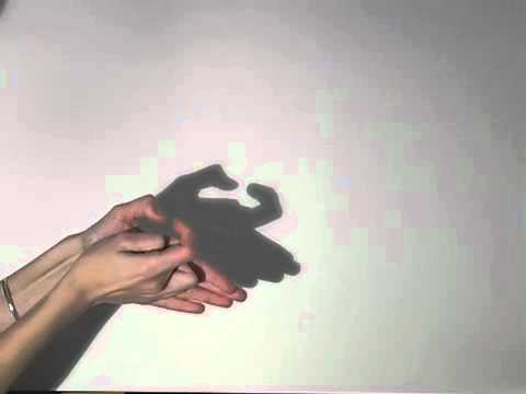 Hand Shadows : Cow - YouTube