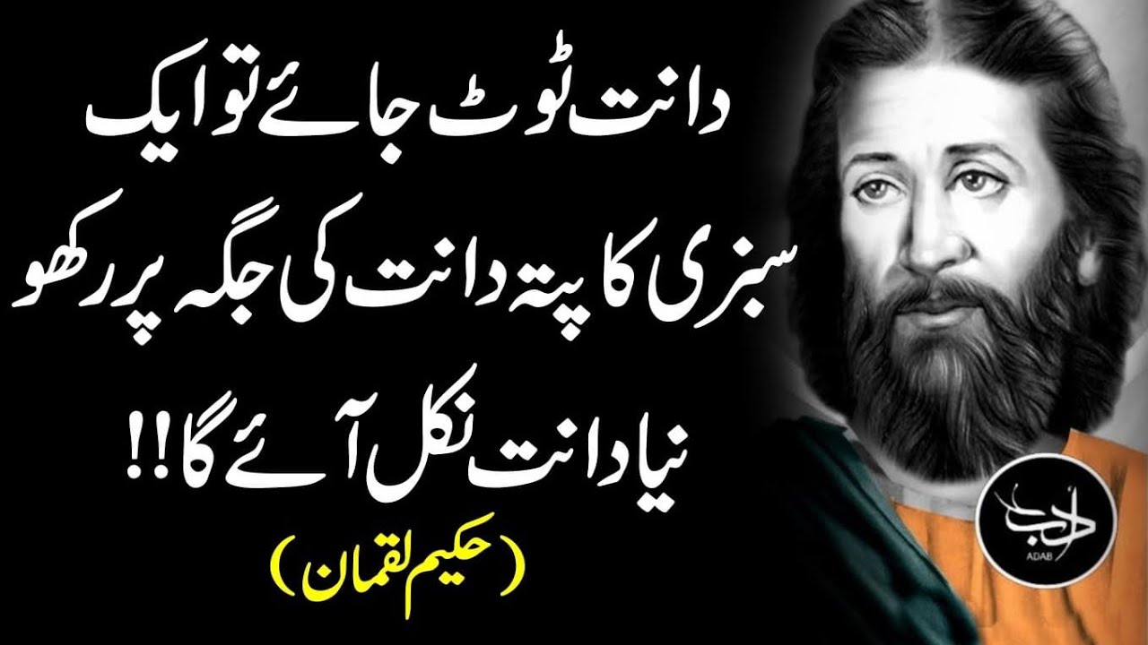 Daant Agar Toot Jaye To Daant Ki Jaga Par Aik Phal Ka Ras Laga Do Daant