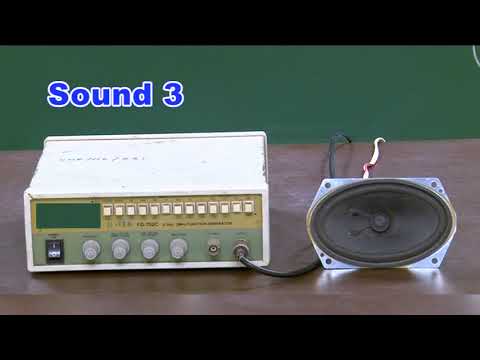 Identify the correct frequency (National Anveshika Experimental Skill ...