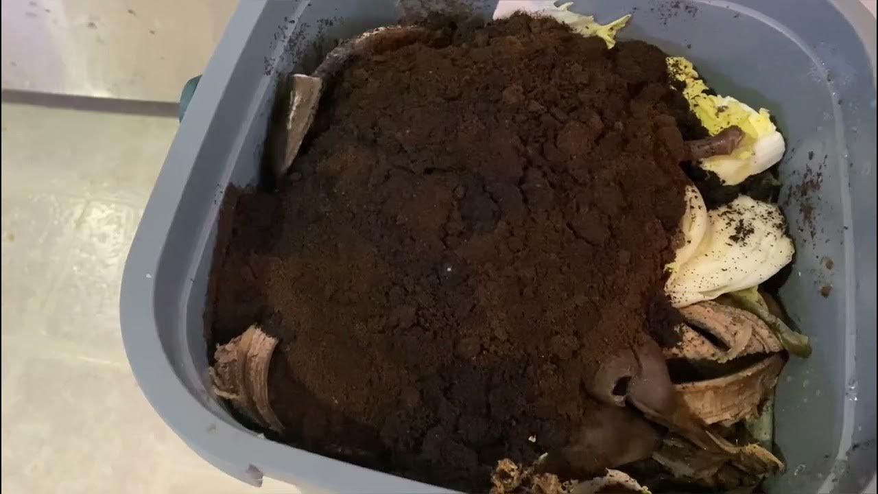 Bokashi composting from start to finish! - YouTube