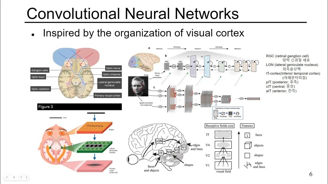 Lecture 19. Convolutional Neural Network - Part 1 - YouTube