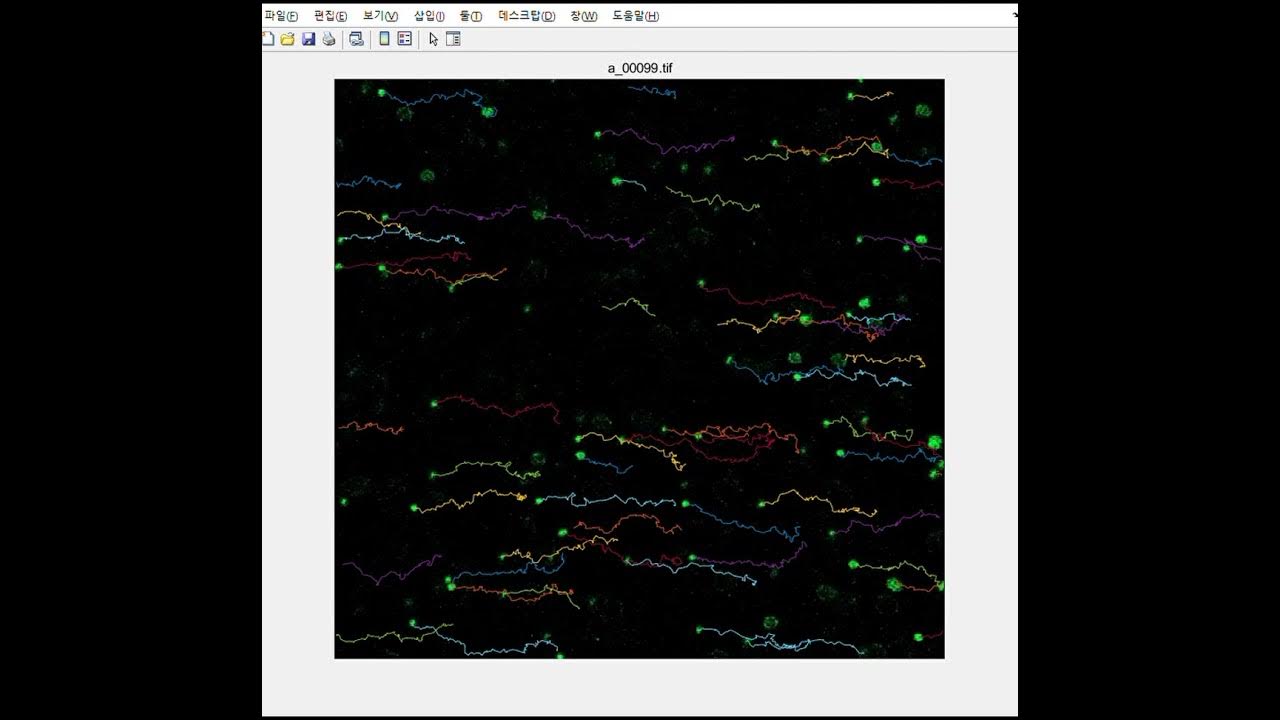 MATLAB Particle Tracking - YouTube