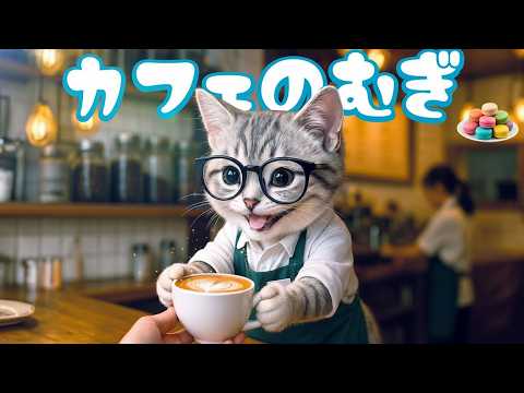 Mugi [Corporate Slave Cat]: Welcome!! A close look at a day of Mugi as a café worker 🐱☕️