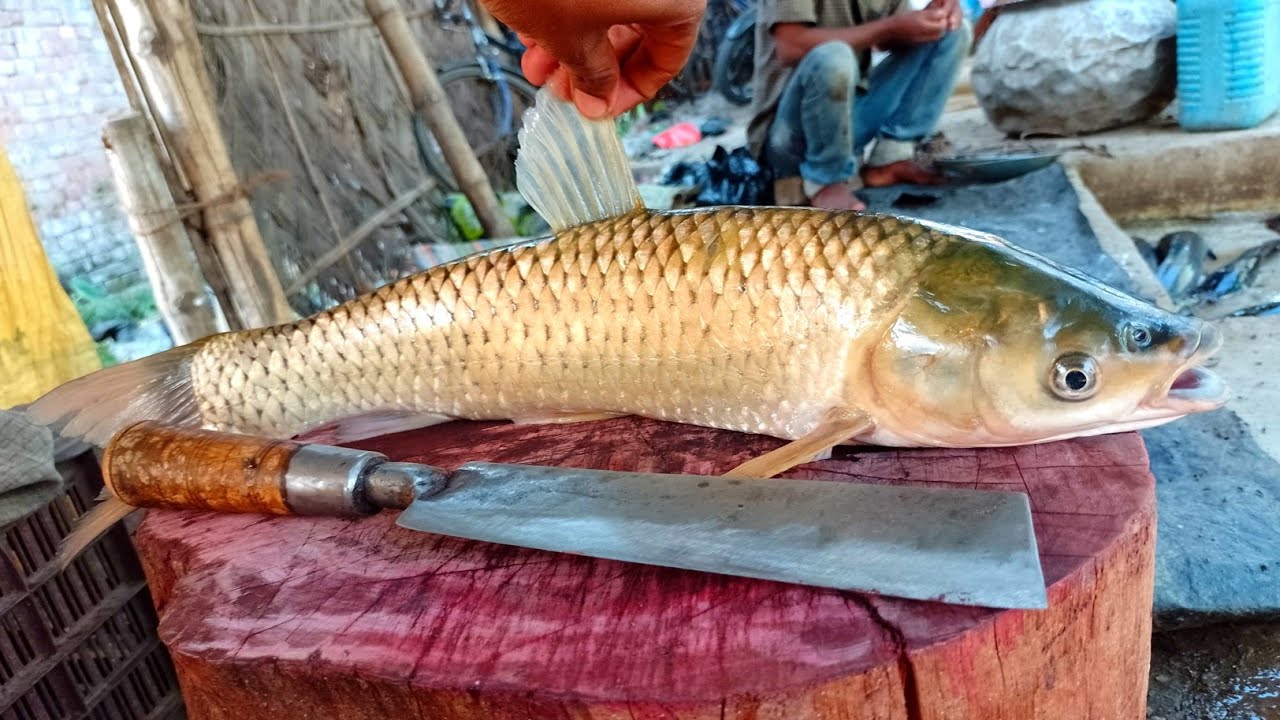 OMG. Mirka Fish Cutting Skills || Fish Cutting Skills ...