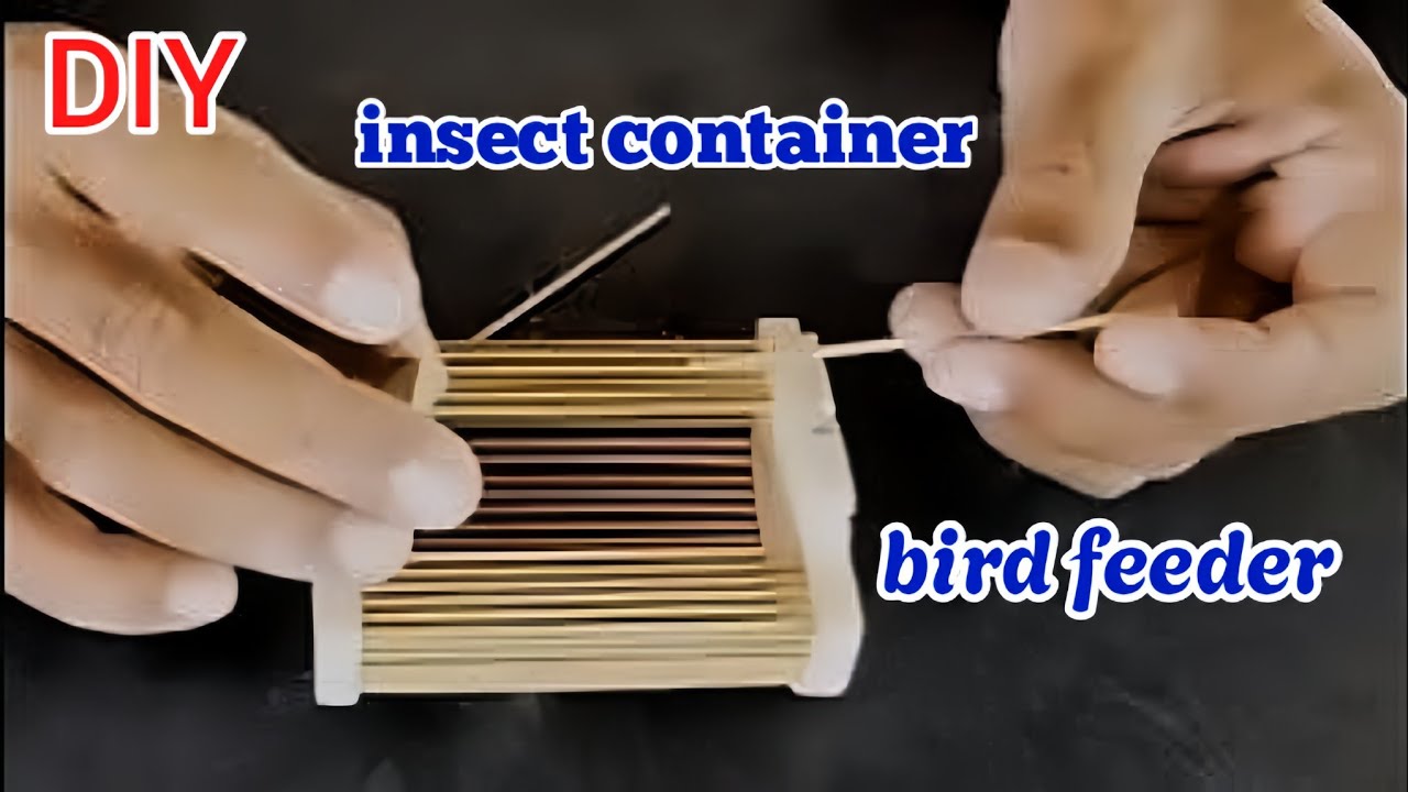 Unique Bird Feeder (insect) / DIY container - YouTube