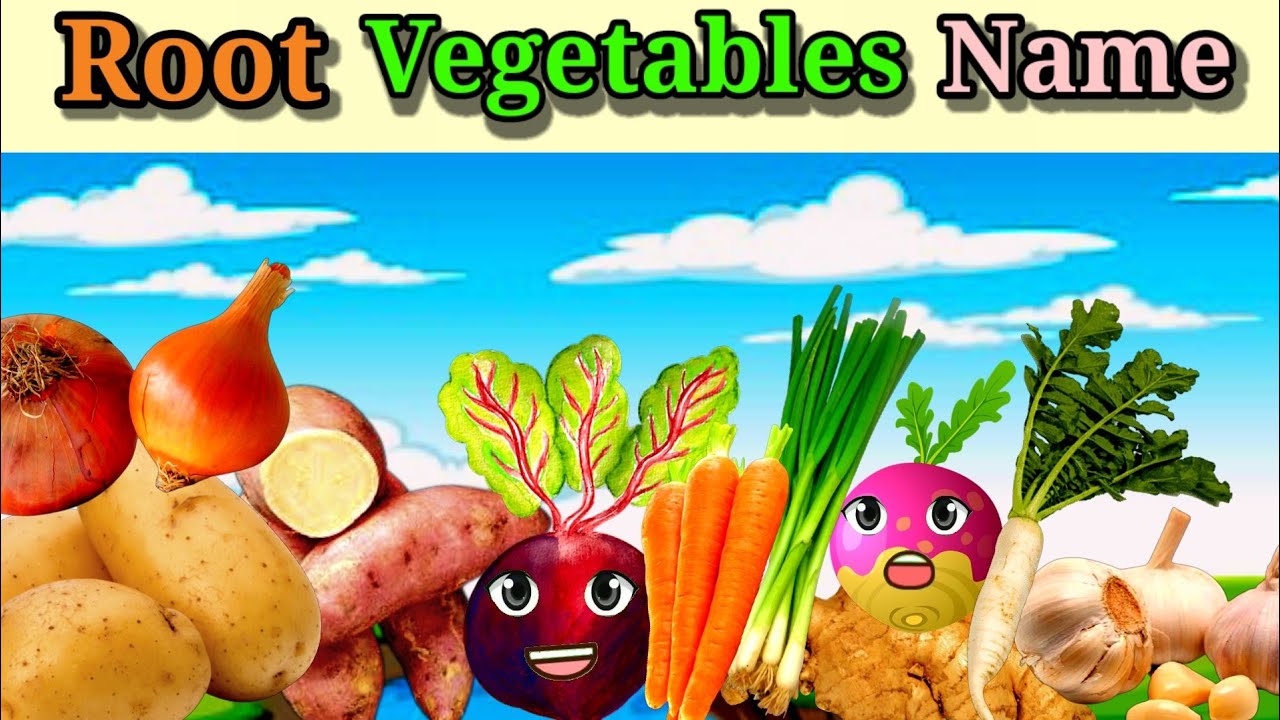 What are Root Vegetables | Root Vegetables in English for Kids ...