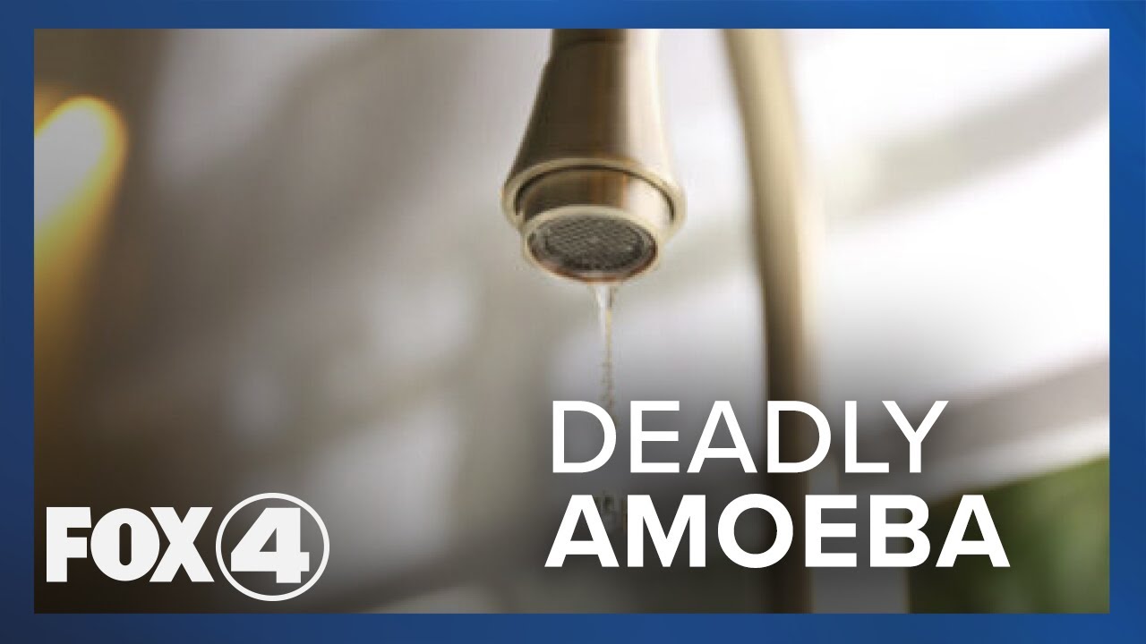 FGCU Professor Says Tap Water is Safe Following Amoeba Death in ...