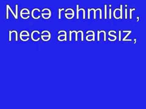 Elnur rehimov(3)