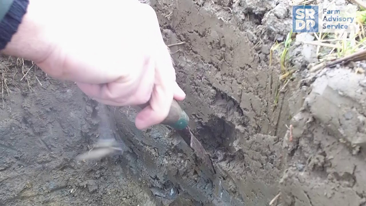 Using soil pits to fight compaction - YouTube