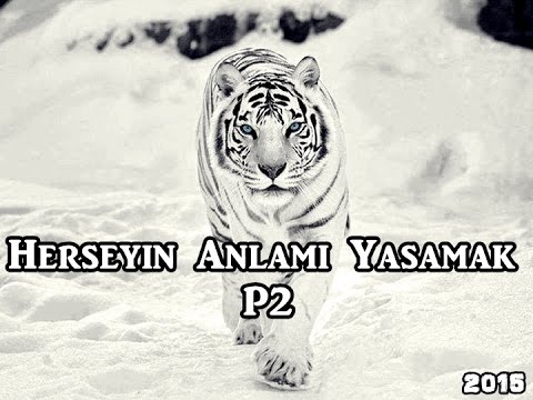 Storm - Herşeyin Anlamı Yaşamak P2 (2015)