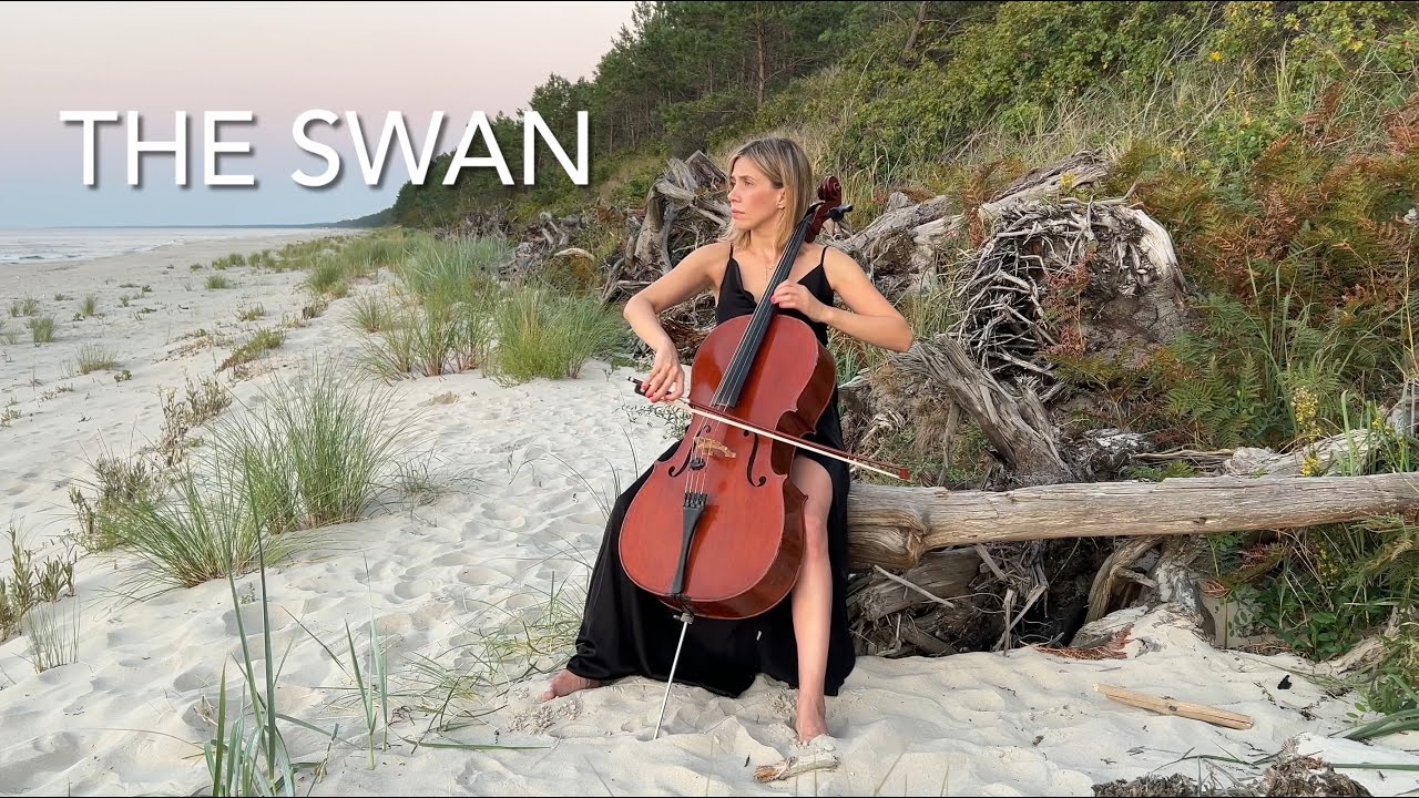 THE SWAN (Saint-Saëns) cello solo || Maria Opera - YouTube