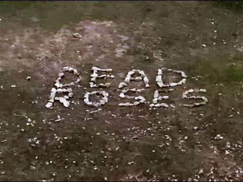 dubby - dead roses (official music video) - YouTube