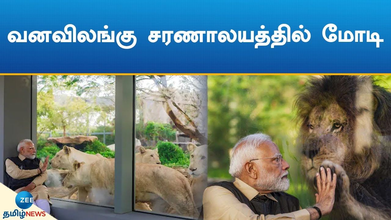 PM Modi | Vantara| Leopard| Elephants | வனவிலங்குகளுடன் நேரம் செலவிட்ட ...