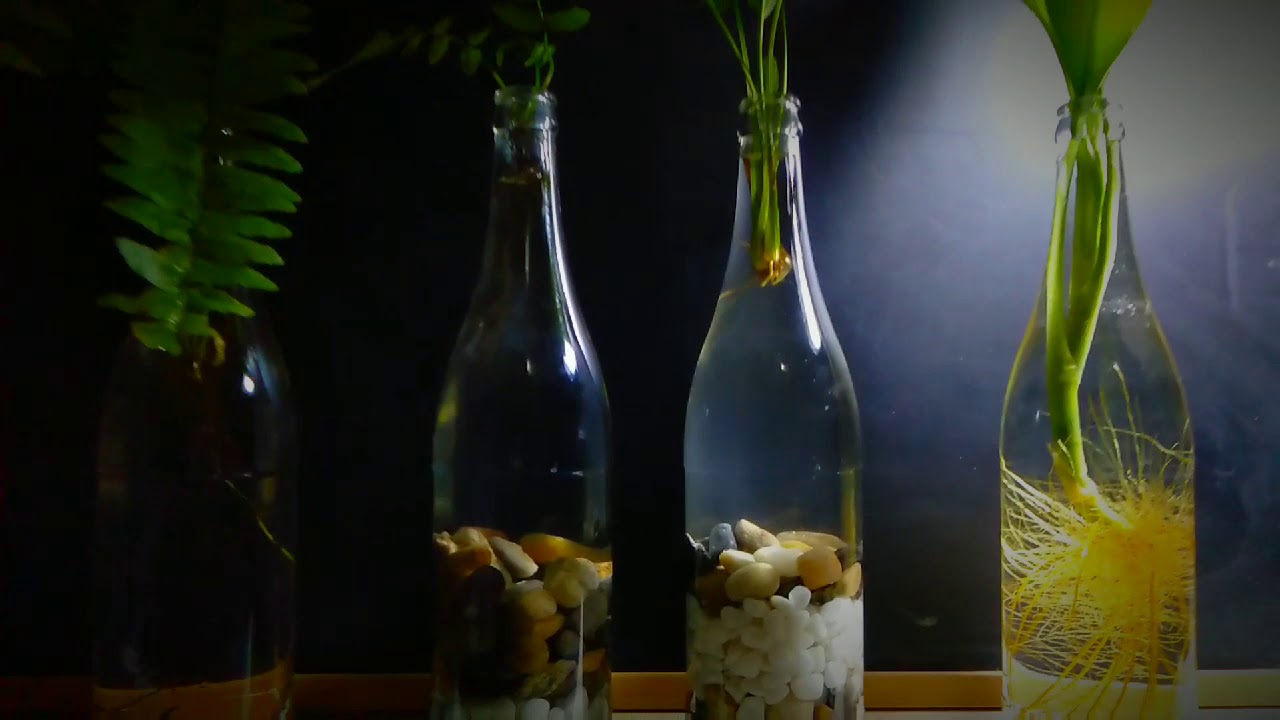 DIY 1- How to decorate recycle glass bottle/Botol kaca Hiasan - YouTube