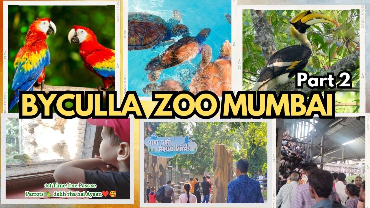 Exploring Byculla Zoo Mumbai : Rani Baug | Birds | Turtle | Part 2 ...