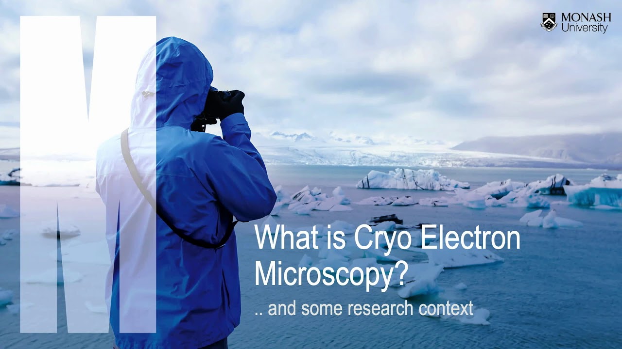 How to Scale from Workstation through Cloud to HPC in Cryo-EM ...