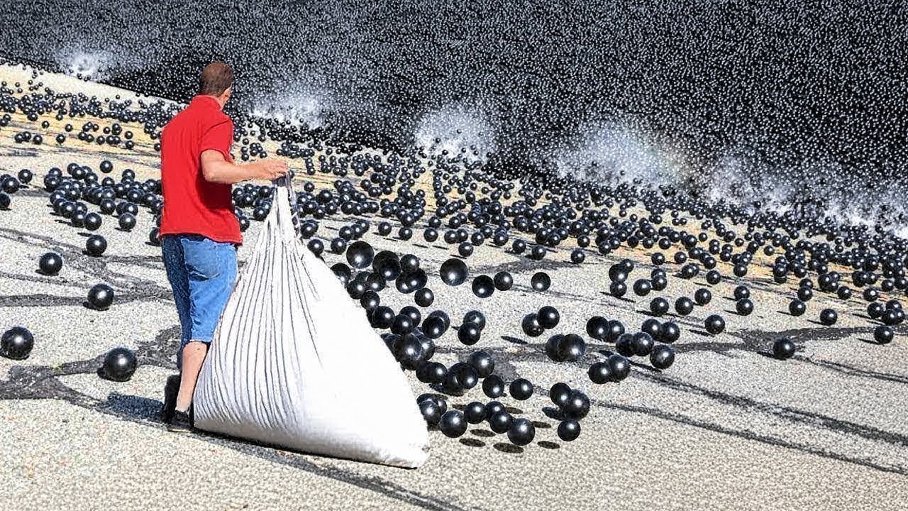 They Dumped 96 Million Balls, Months Later They Scrambled To Get Them ...