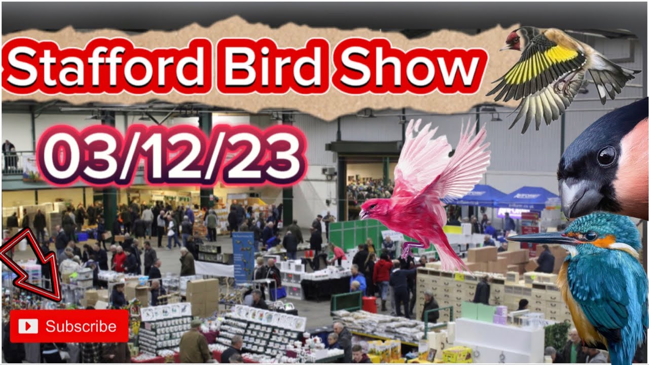 UK Stafford bird show [ 03/ 12/ 23 ] نمايشگاه پرندگان زينتي انگليس ٠٣ ...