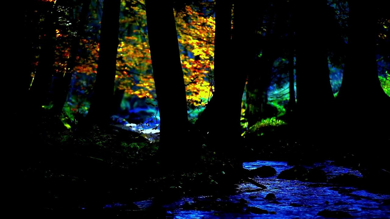 Soft Relaxation Sounds that will make you sleepy in 10 minutes ,Water ...