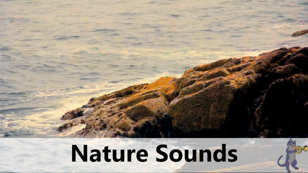 Nature Sounds: Ocean, Crashing Waves, Soothing Sea (Relaxing Music ...